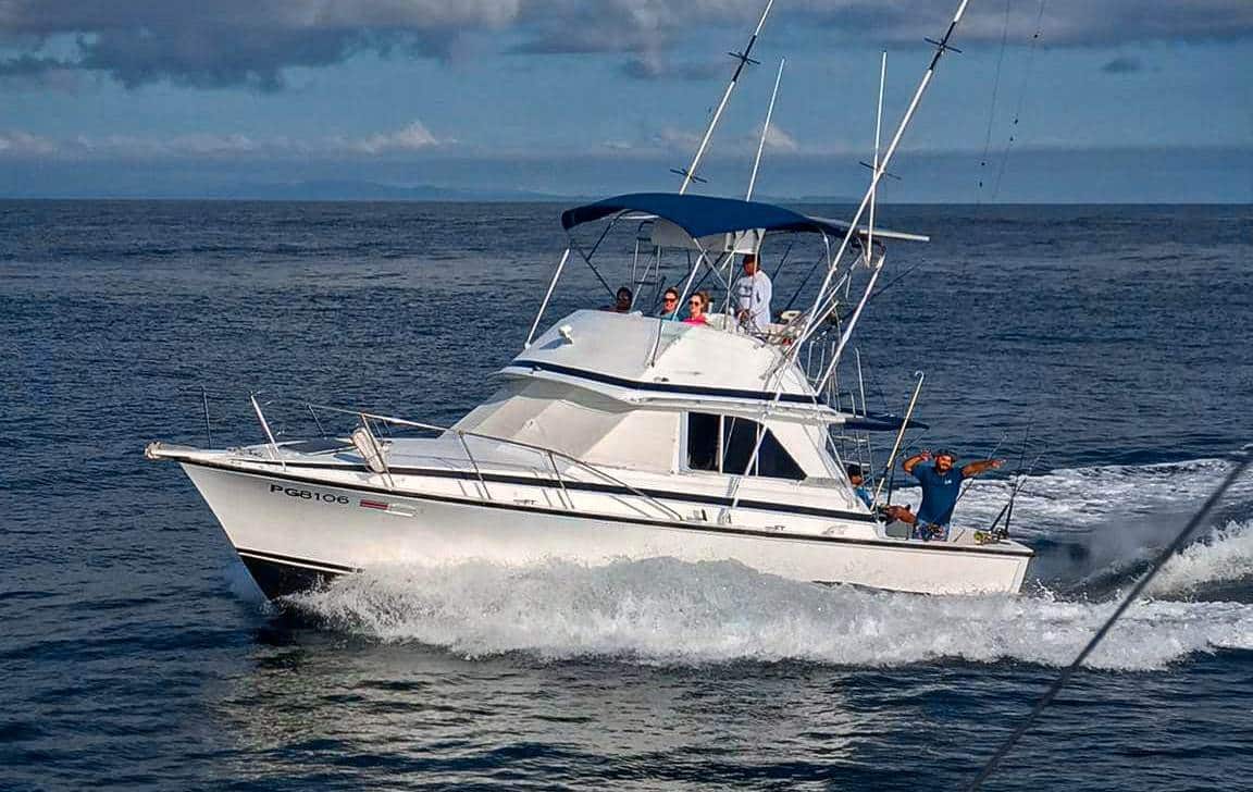 36ft Bertram Sportfishing Charter in Jaco, Los Sueños
