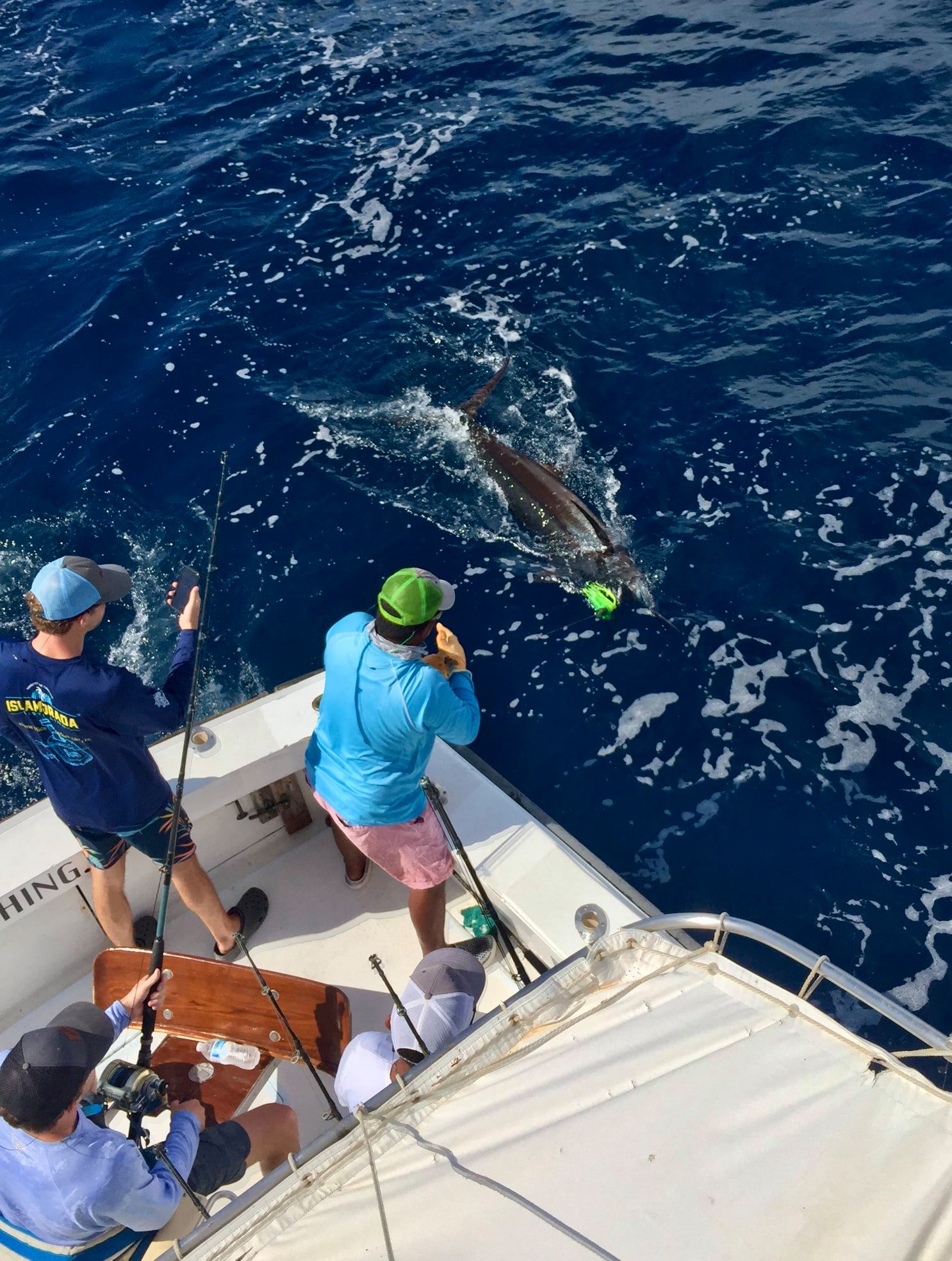 Fishing Costa Rica Pacific Coast - Costa Rica Fishing Experts